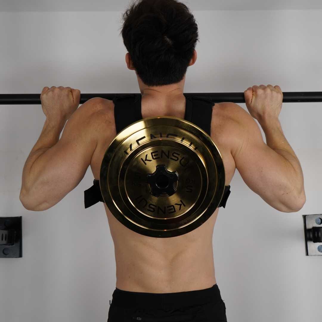 Calibrated Gold Weight Plates (LBS)– Kensui